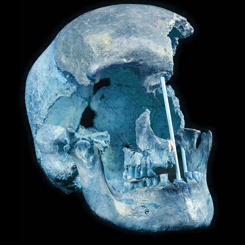 Contributions to the study of the oldest modern humans discovered in ...